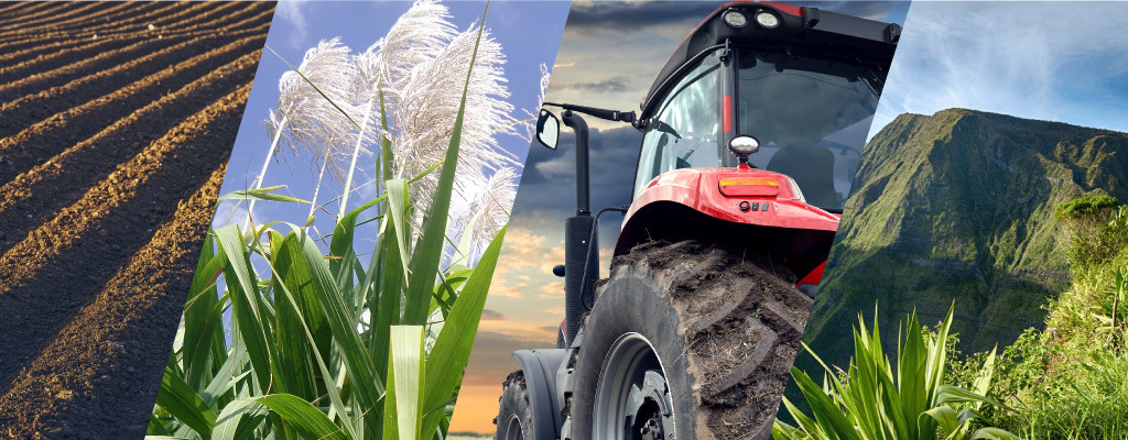 Run Agri Services - Accueil